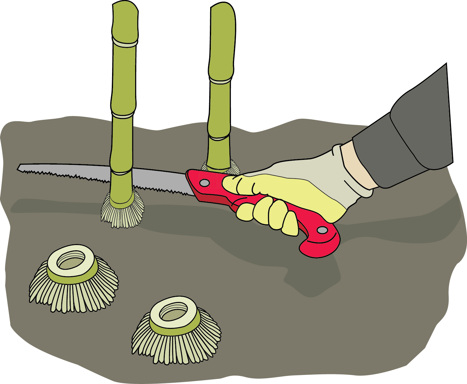 Bamboo Shield Installation – Lewis Bamboo