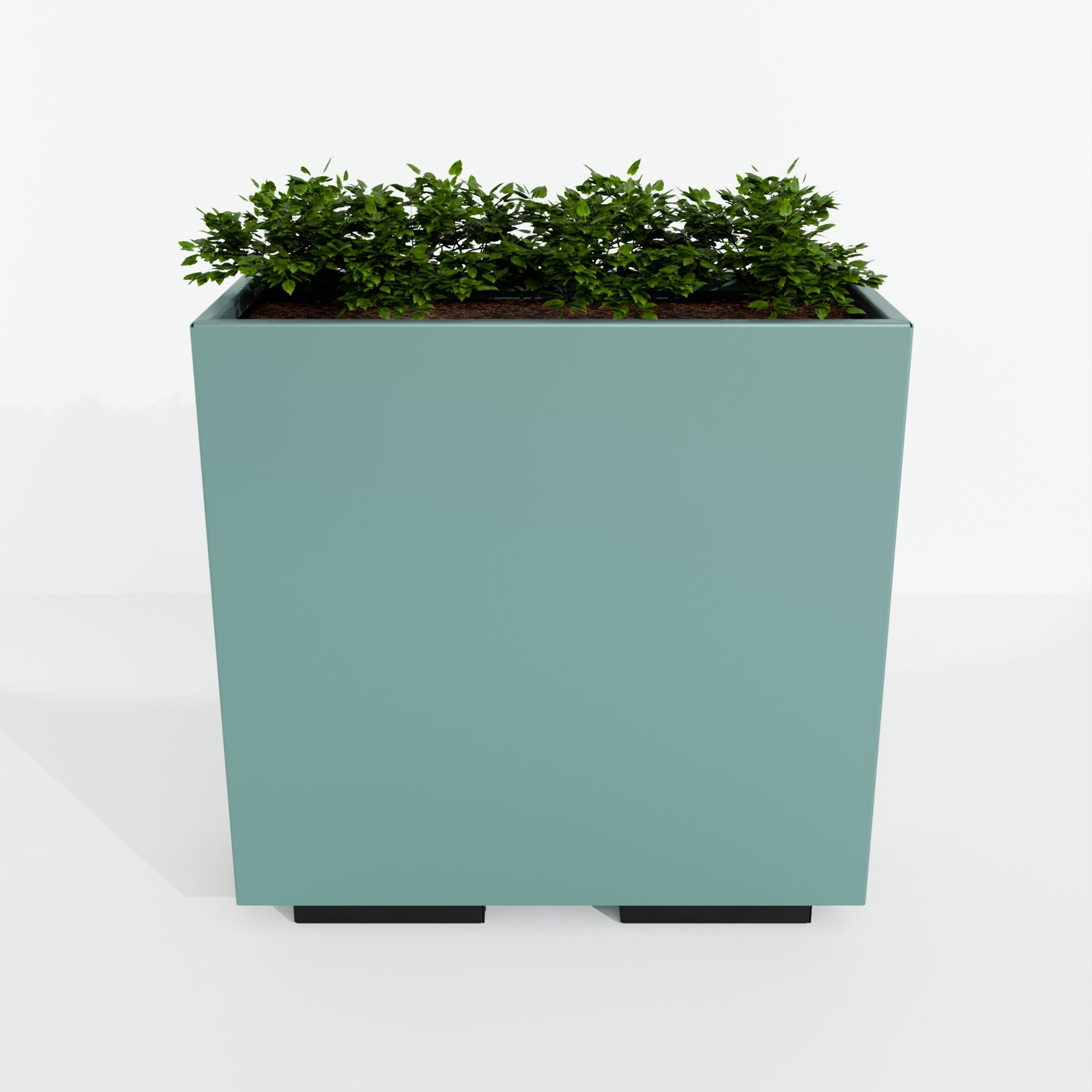 Modern Steel Planter Box – Lewis Bamboo