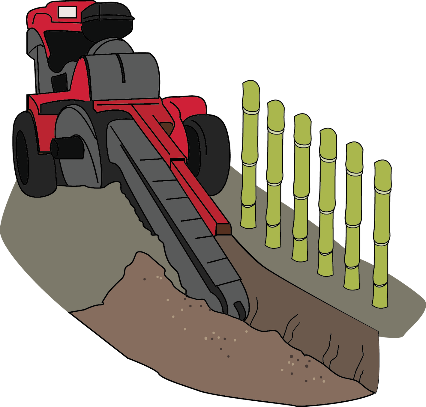 Bamboo Shield Installation – Lewis Bamboo