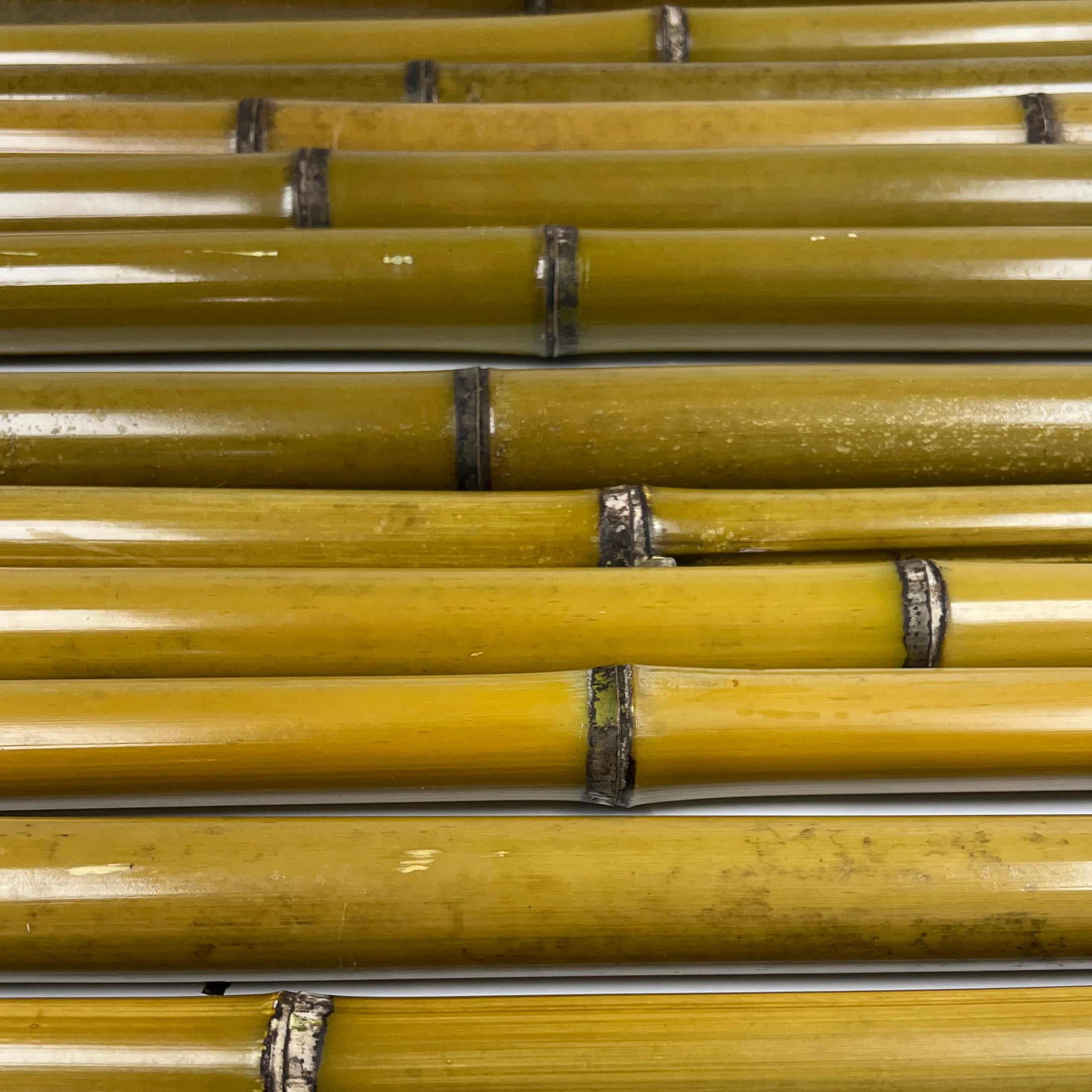 Bamboo Poles – Lewis Bamboo