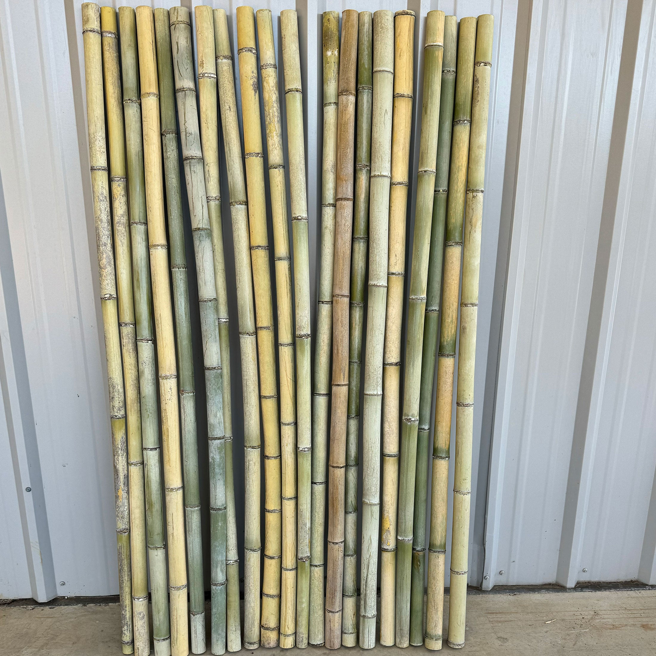 Bamboo Poles – Lewis Bamboo