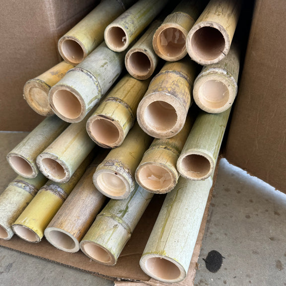 Bamboo Poles – Lewis Bamboo