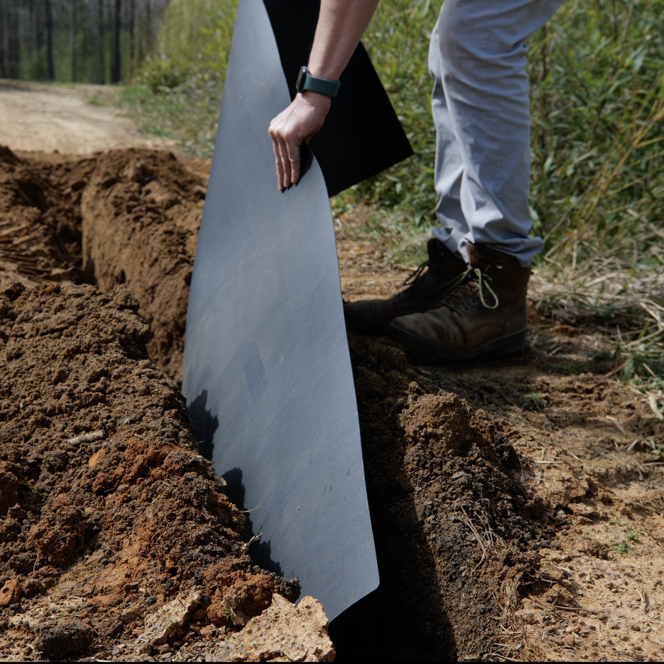 Bamboo Shield - 60 mil thick by 24in depth – Lewis Bamboo