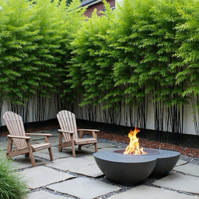 Black Bamboo – Lewis Bamboo
